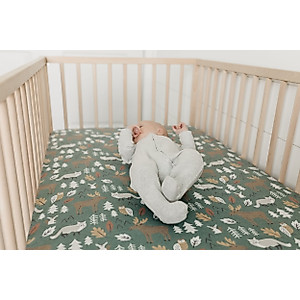 Copper Pearl Premium Knit Baby Crib Sheets for Boys and Girls Breathable and Soft, Fitted Crib Sheets for Standard Baby Mattresses, Crib Sheet for Baby Registry or Shower Gift, Atwood