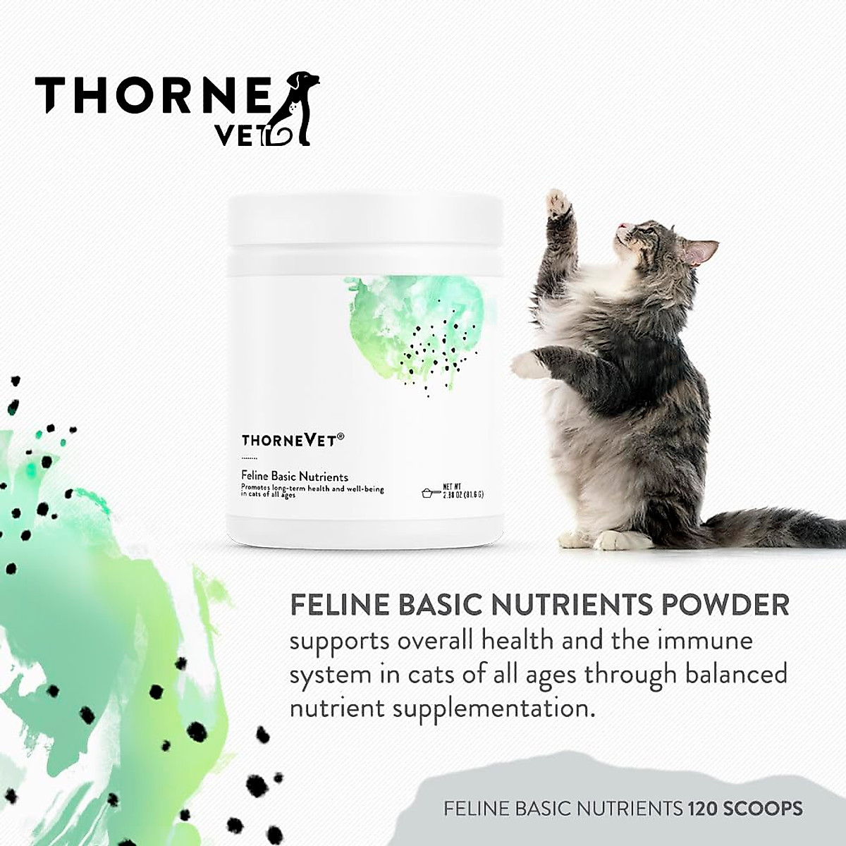 ThorneVet Feline Basic Nutrients - Multivitamin and Mineral Powder Health Supplement for Cats of All Ages - with Amino Acids, Omega 3 Fatty Acids & Probiotics - Tasty Beef Liver Flavor - 120 Scoops