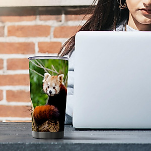 ZAQERFZ 20 Oz Insulated Tumblers Travel Mug With Lid Red Panda Stainless Steel Double Wall Vacuum Coffee Cup Gifts For Men Women Boys Girls