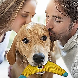 AWOOF Dog Toys No Stuffing, Crinkle Dog Toys for Aggressive Chewer Large Breed 8 Packs Flat Stuffless Puppy Doggie Toys Tough Durable Interactive Teething Dog Chew Toys for Small Medium Large Dogs