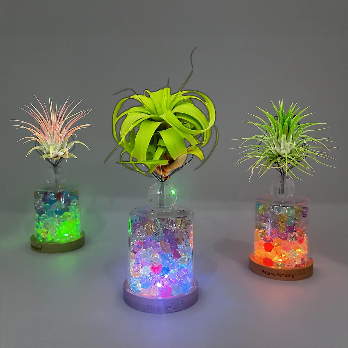 Tillandsiart 3Pack Air Plant Holders (3Pcs Air Plant Containers W/LED Lights) A decorative accessory for setting up air plant display for house decor.