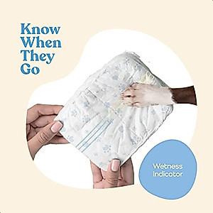 Comfortable Male Dog Diapers - 30-Pack Super Absorbent Disposable Male Dog Wraps- FlashDry Gel Technology, Wetness Indicator Doggie Diapers- Leakproof Belly Wraps for Incontinence, Excitable Urination