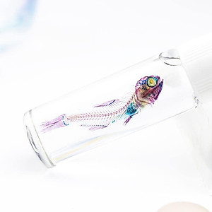 KAIRU ECO-ART STUDIO Diaphonized/Transparent Specimen, Deep Sea Fish of West Pacific, Lanternfish