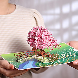 Pop Up Flower Birthday Cards, Cherry Blossom Tree 3D Pop Up Birthday Cards, Thank You Card 6x 8", Anniversary Card, Mother's Day Card, Valentines Card All Occasion for Women, Wife, Mom, Grandma, Her