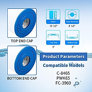 PURIFIED HYC-8465 Spa Filter Replaces Unicel C-8465 ，Watkins 31114, Pleatco PWK65, Filbur FC-3960, 71827, 71828, Watkins 65 sq.ft Tiger River Spa Filter 1 Pack hot tub Filter