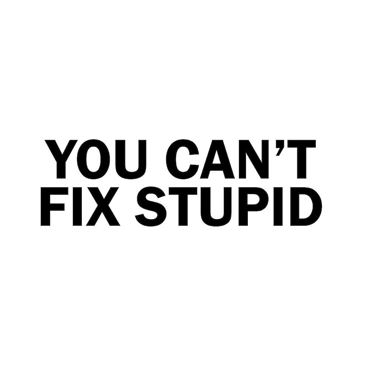 CafePress You Cant Fix Stupid Funny Hilarious, Mugs Ceramic Coffee Mug, Tea Cup 11 oz