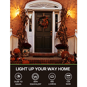 Dusk to Dawn Light Bulbs LED Edison, 60W Equivalent Outdoor Lighting, Soft White 2700K, E26 Base, Light Sensing, ST58 Vintage Style, 600LM, Extra Bright Automatic Bulb for Porch Patio Garage, 4 Pack