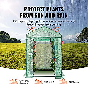 VEVOR Walk-in Green House, 55.5 x 29.3 x 80.7 inch, Portable Greenhouse with Shelves, High Strength PE Cover with Roll-up Zipper Door and Steel Frame, Set Up in Minutes, for Planting and Storage