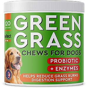 PAWFECTCHEW Dog Pee Grass Helper - Grass Treatment for Dog Urine - Dog Urine Neutralizer for Grass Burn Spots - Dog Pee Lawn Repair Treats with Probiotics - Made in USA - 120 Chews