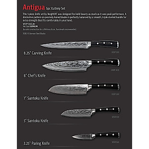 Berghoff Antigua 5Pc Knives With Case German Steel Etched Blade Ergonomically Designed Triple-riveted Handle Sharp & Well Balanced Satin Finish