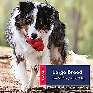 KONG Classic Dog Toy & Ziggies - Dog Chew Toy with Dog Treats - for Large Dogs