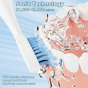 POTICO Sonic Electric Toothbrush for Adult with 8 Duponts Brush Heads, 5Modes, 2 Min Smart Timer, IPX7 Waterproof, Rechargeable Toothbrushes, Charge Lasts for 90 Days use
