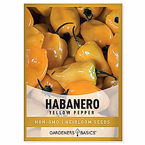 Yellow Habanero Pepper Seeds for Planting 100 Heirloom Non-GMO Habanero Peppers Plant Seeds for Home Garden Vegetables Makes a Great Gift for Gardeners by Gardeners Basics