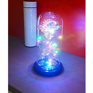 AUSAYE for Mom,Women's Gift Gold Butterfly Birthday Gifts Colorful Preserved Rose Gift Flower, Preserved Rose Flower in Glass Dome, Unique Gift for Her, Mom,Grandma