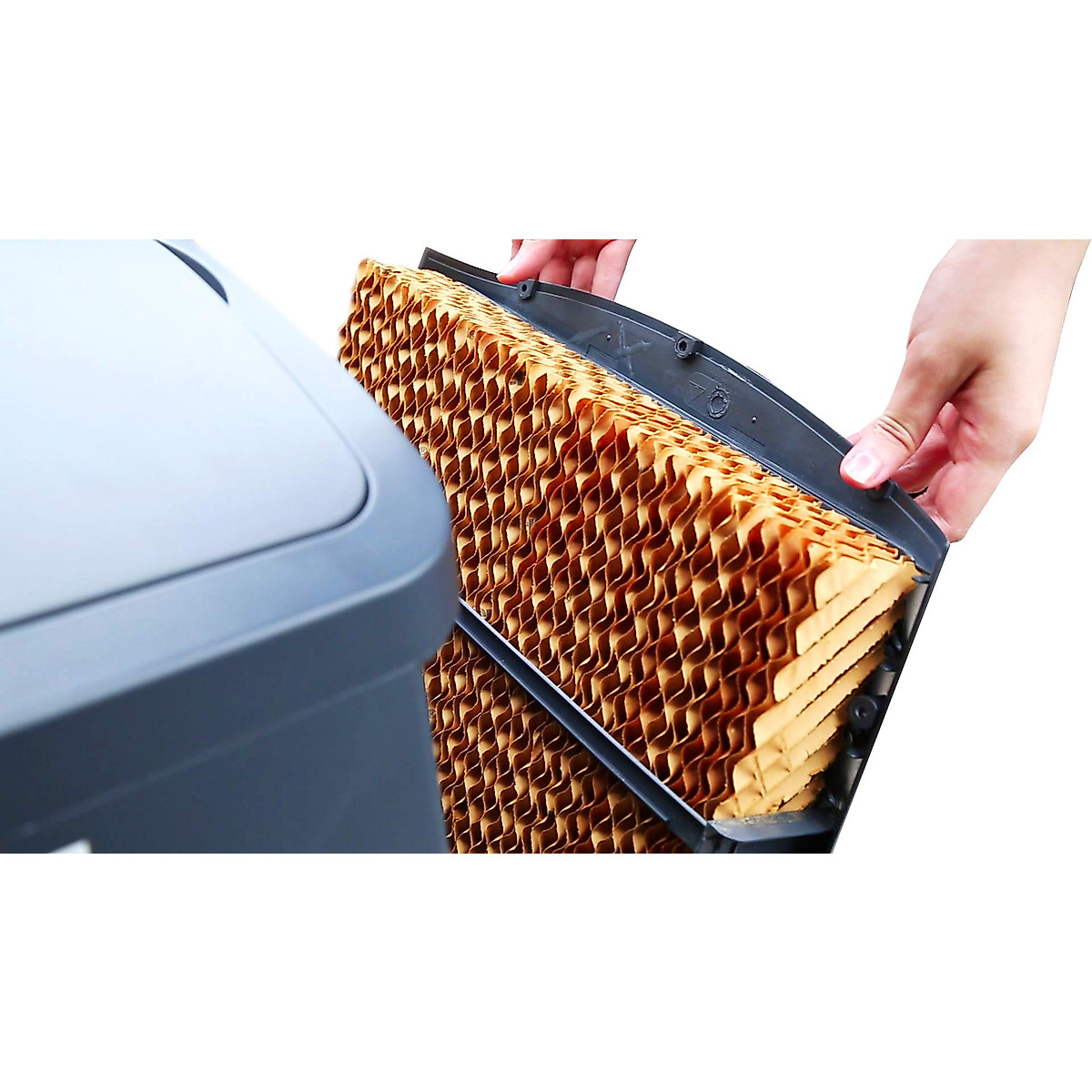 Honeywell 2325061 Replacement Pad Evaporative Cooler Models CL30XC & CO30XE, Gold