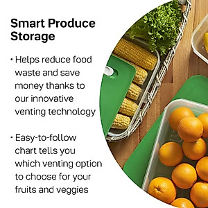 Tupperware Brand FridgeSmart Starter Set - 4 Containers to Store & Extend Shelf Life of Produce + Lids - Dishwasher Safe & BPA Free