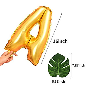 JeVenis Born To Be Wild Balloons Born To Be Wild Birthday Party Decoration Born to be Wild Banner Jungle Baby Shower Safari Baby Shower Decorations