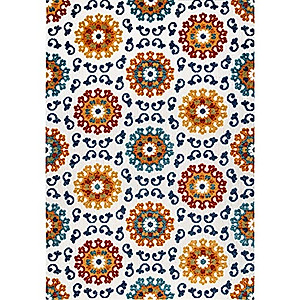 nuLOOM Aurora Transitional Indoor/Outdoor Area Rug, 4' x 6', Multi