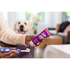 Dental Fresh Enzymatic Gel for Dogs, Dog Toothpaste – Dog Essentials for Dog Teeth Cleaning