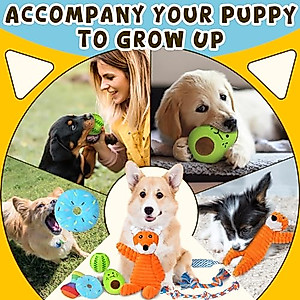 Zeaxuie 9 Pack Luxury Puppy Toys for Teething Small Dogs, Puppy Chew Toys with Cute Squeaky Dog Toys, Ball and More Rope Dog Chew Toys