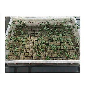 1.5 inch Rockwool/Stonewool Grow Cubes Starter Sheets for Cuttings, Cloning, Plant Propagation, Seed Starting Hydroponic Grow Media Growing Medium for Vigorous Plant Growth (28, 1.5)1