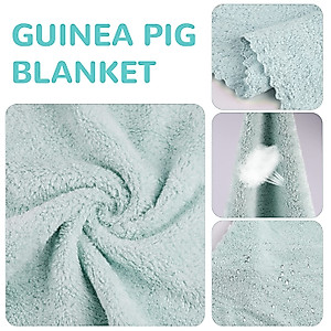 QUACOWW 10 Pieces Guinea Pig Blanket, Rabbits Hamster Fleece Cage Liners, Small Animals Bedding Mats, Soft Guinea Pig Accessories Bathe Towels for Small Animals Pets Dog Puppy Cat