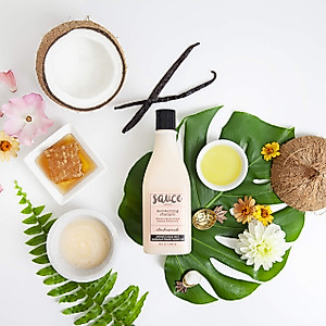 SAUCE BEAUTY Shampoo, Island Marinade Moisturizing Shampoo (10 Fl Oz) Anti Frizz Jamaican Black Castor Oil for Fine, Frizzy, Dry & Damaged Hair, Improves Hair Shine, Sulfate & Paraben-Free