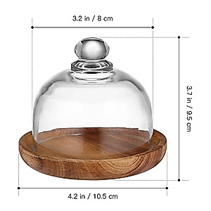 Cabilock Wooden Cheese Dome Mini Cheese Plant Platter with Glass Top and Wooden Base Rustic Decorative Cheese Mini Cake Platter Air Plant Terrarium(4.13 x 3.74 x 3.15 inches/12 x 11x 9cm)
