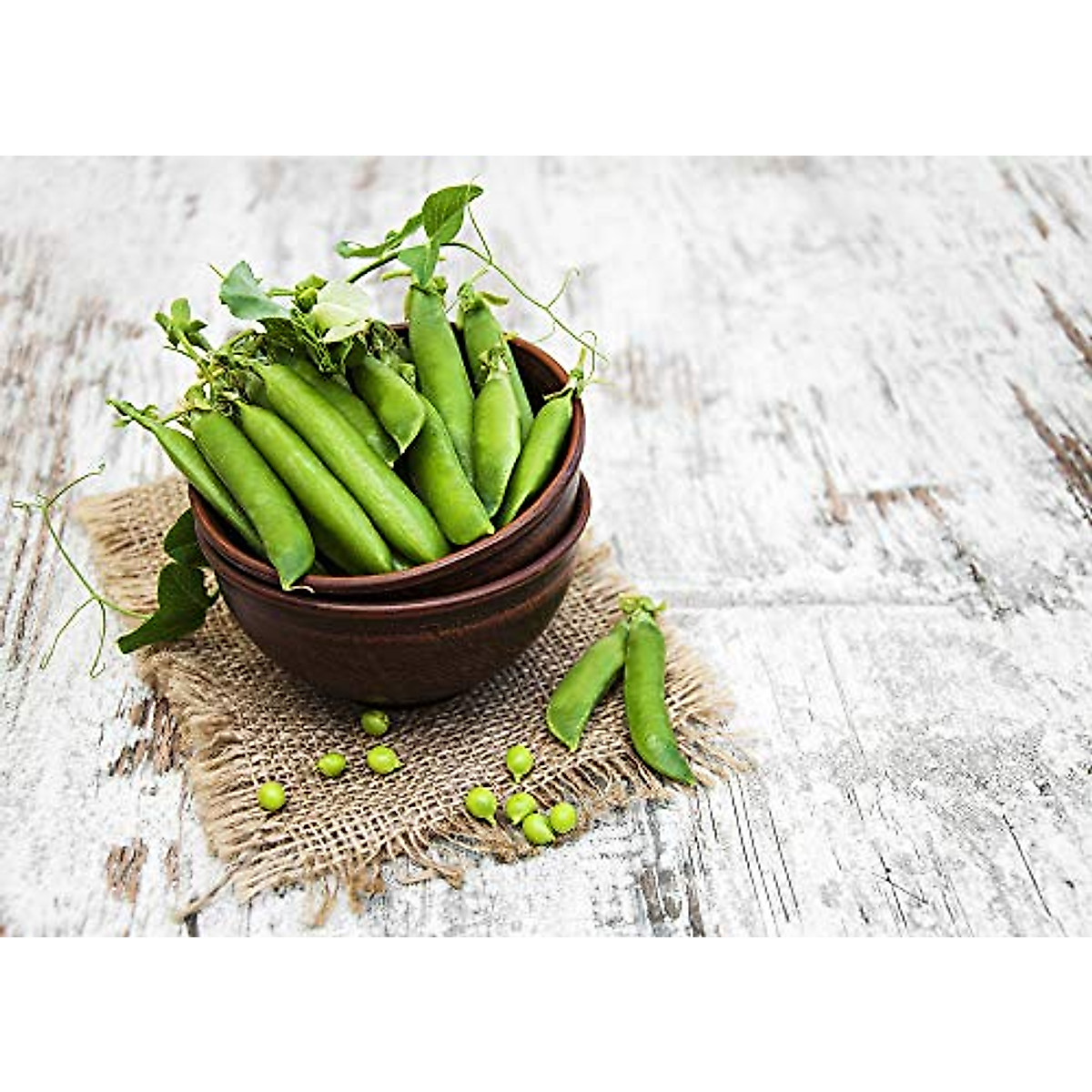 Sugar Daddy Snap Pea Seeds for Planting, 50+ Heirloom Seeds Per Packet, (Isla's Garden Seeds), Non GMO Seeds, Botanical Name: Pisum sativum, Great Home Garden Gift