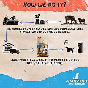 Amazing Dog Treats - 5-6 Inch Meaty Beef Marrow Bones (2 Count) - Best Bones for Dogs - Long Lasting Dog Chew Bones - Filled Marrow Dog Bone