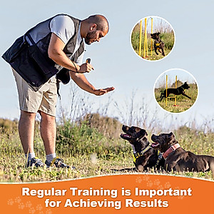 Arien Dog Bark Deterrent Devices, Anti Barking Device for Dogs, Rechargeable Ultrasonic Dog Bark Control Devices 50FT Range Safe for Dogs & Human Portable Indoor Outdoor