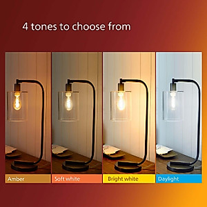 PHILIPS LED Vintage Flicker-Free Clear Straight ST19 Dimmable, Eyecomfort Technology, 400 Lumen, Soft White(2700K), 4.4W=40W, Title 20 Certified, E26 Base, 2-Pack, (564856)