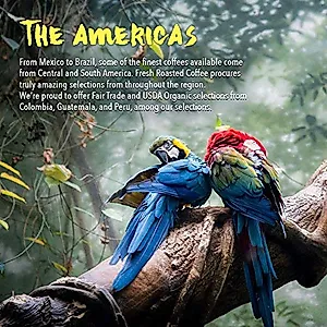 Fresh Roasted Coffee, Costa Rican Tarrazu, 5 lb (80 oz), Medium Roast, Kosher, Whole Bean