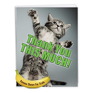 NobleWorks - Jumbo Thank You Card with Envelope (8.5 x 11 Inch), Animal Notecard, Thankful Friend - This Much Kitten J3612