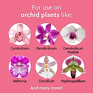 Miracle-Gro Ready-To-Use Orchid Plant Food Mist, 8 oz., Feeds Plants Instantly, 1 Pack