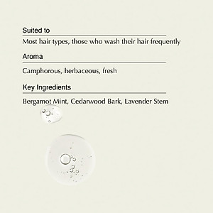 Aesop Classic Conditioner | Lightly Nourish, Hydrate, Disentangle and Smooth Hair | Botanical Oils with Hydrating and Hair-Softening Properties | 17.7 oz
