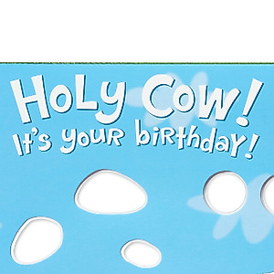American Greetings Funny Birthday Card (Holy Cow)