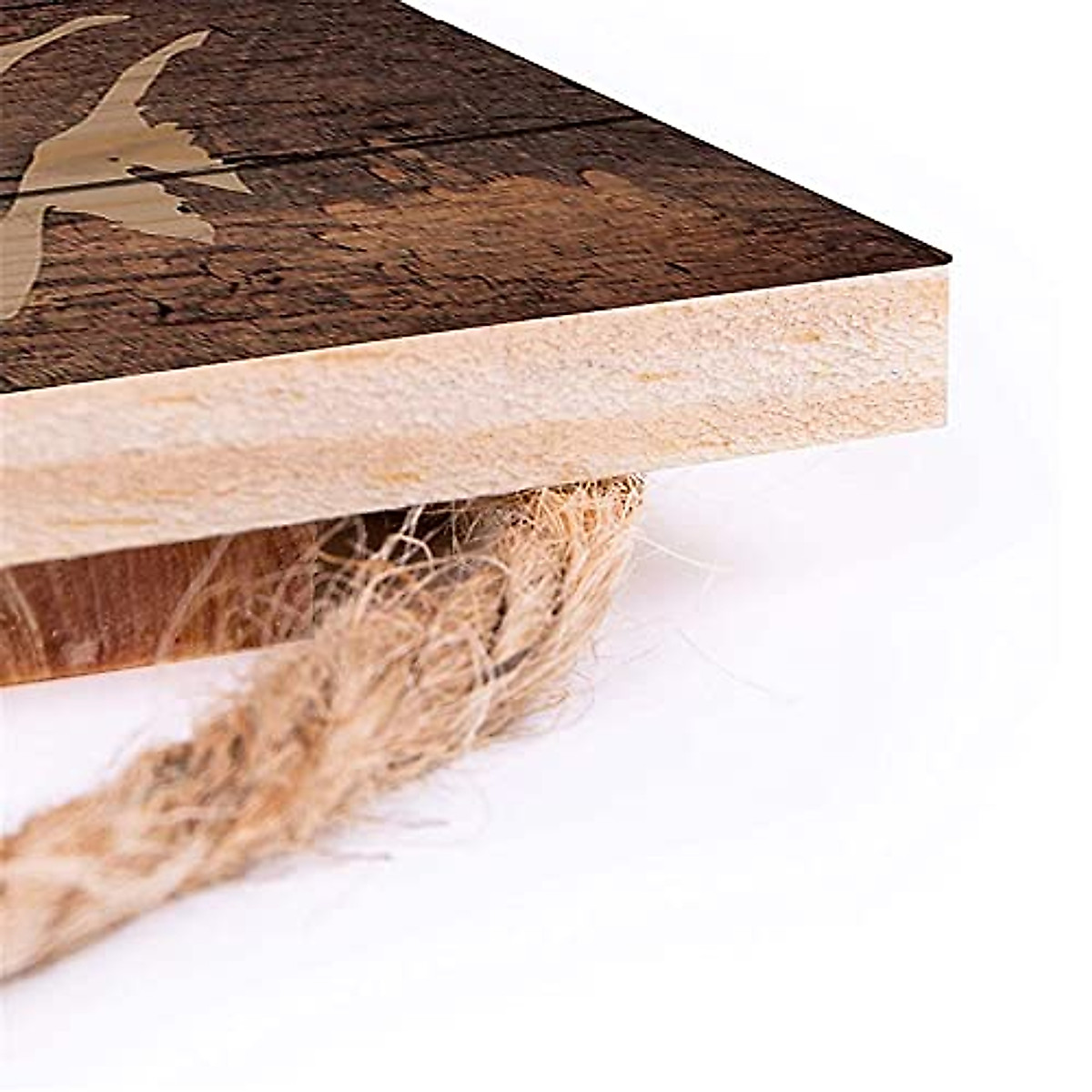 Wood For Crafts Signs Beware Of Sugar Glider Wooden Sign Posters For Boys Room Chill Wood Sign (Size : 23X35CM)