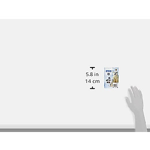 EPSON NO.26XL Ink CART HY Photo BLK