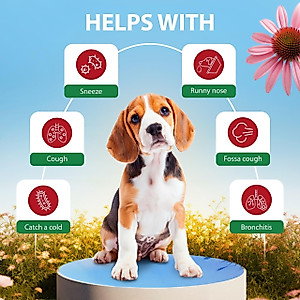 Kennel Cough Drops for Dogs & Cats - Allergy Relief - Cough Relief Dry and Wet Pet Cough - for Dogs of All Breeds & Sizes