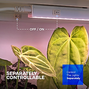 Barrina Grow Light for Indoor Plants, Full Spectrum Sunlight, 1ft Grow Lamp, LED Grow Light Bulbs, T5 Grow Light Strip, Plug and Play, Pinkish White, 4-Pack