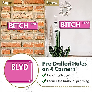 Retro Pink Tin Metal Sign - 'BITCH BLVD' - Bold Statement Decor for Home, Bar, or Dorm - 16x4 Inches - Unique Gift Idea for Friends(B71)