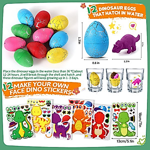 CIRDOTSH Dinosaur Party Favors For 12 Kids, Dinosaur Birthday Party Supplies, Dinosaur Goodie Bags for Boys Girls Birthday, Dinosaur Gifts Bags Fillers Pinata Stuffers, Dinosaur Themed Party Toys