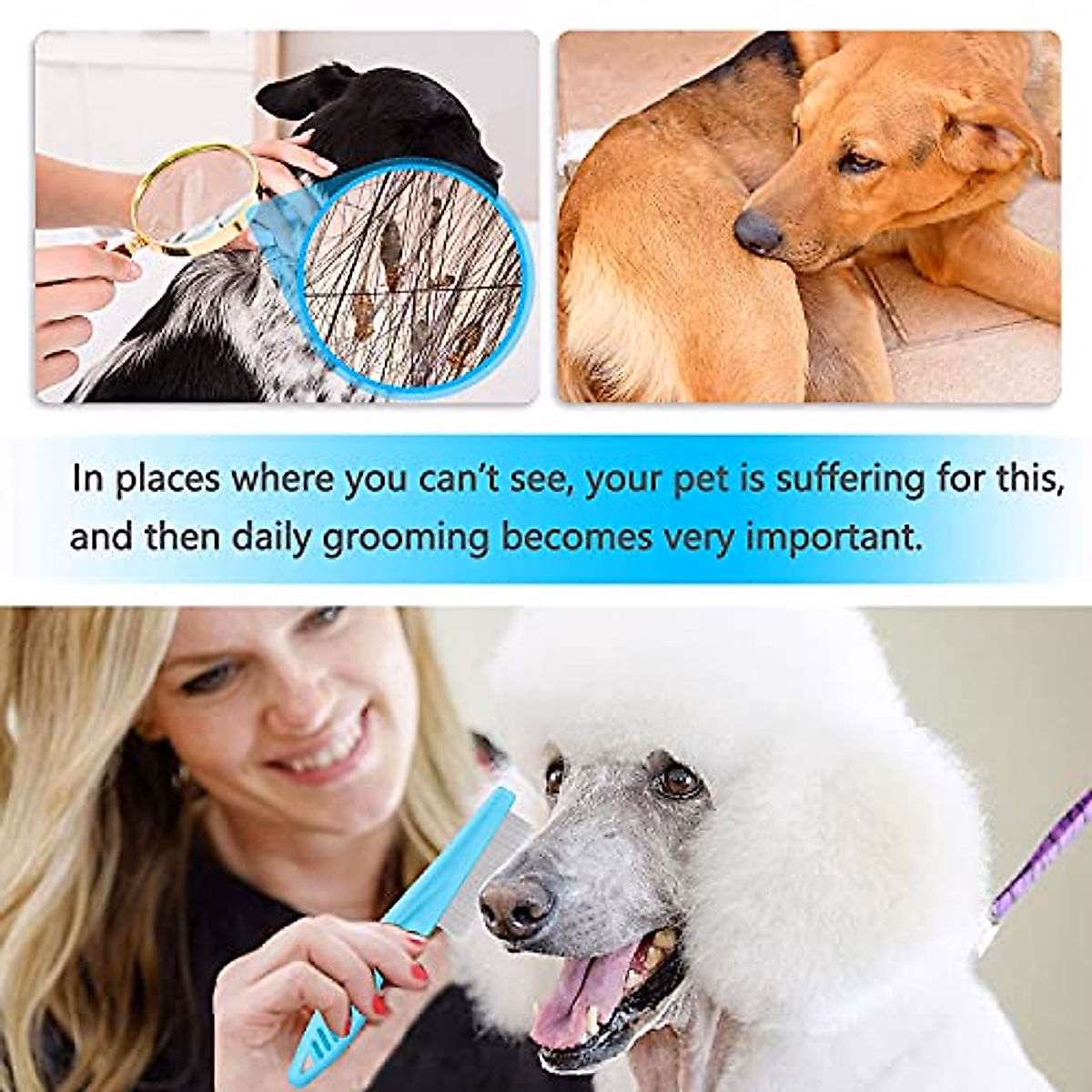 AESALUTOY Cat Brush for Shedding Indoor Cats - Cat Hair Brush for Deshedding Long Haired Cats, Self Cleaning Cat Grooming Brush, Slicker Brush for Cats, Kitten and Short Haired Dogs, Cat Fur Comb Brush with Two Cat Hair Combs(Green)