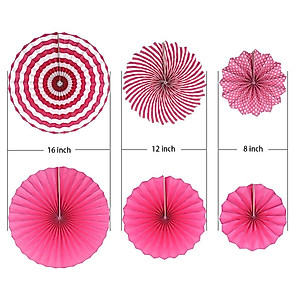 Dinosaur Party Decorations for Baby Girls-1 Happy Birthday Banner, 1 Dino-mite Garland,6 Pink Paper Fans, 12 Dino Balloons-Birthday Supplies and Favors for Kid's Christmas Thanksgiving 1st 2nd 3rd