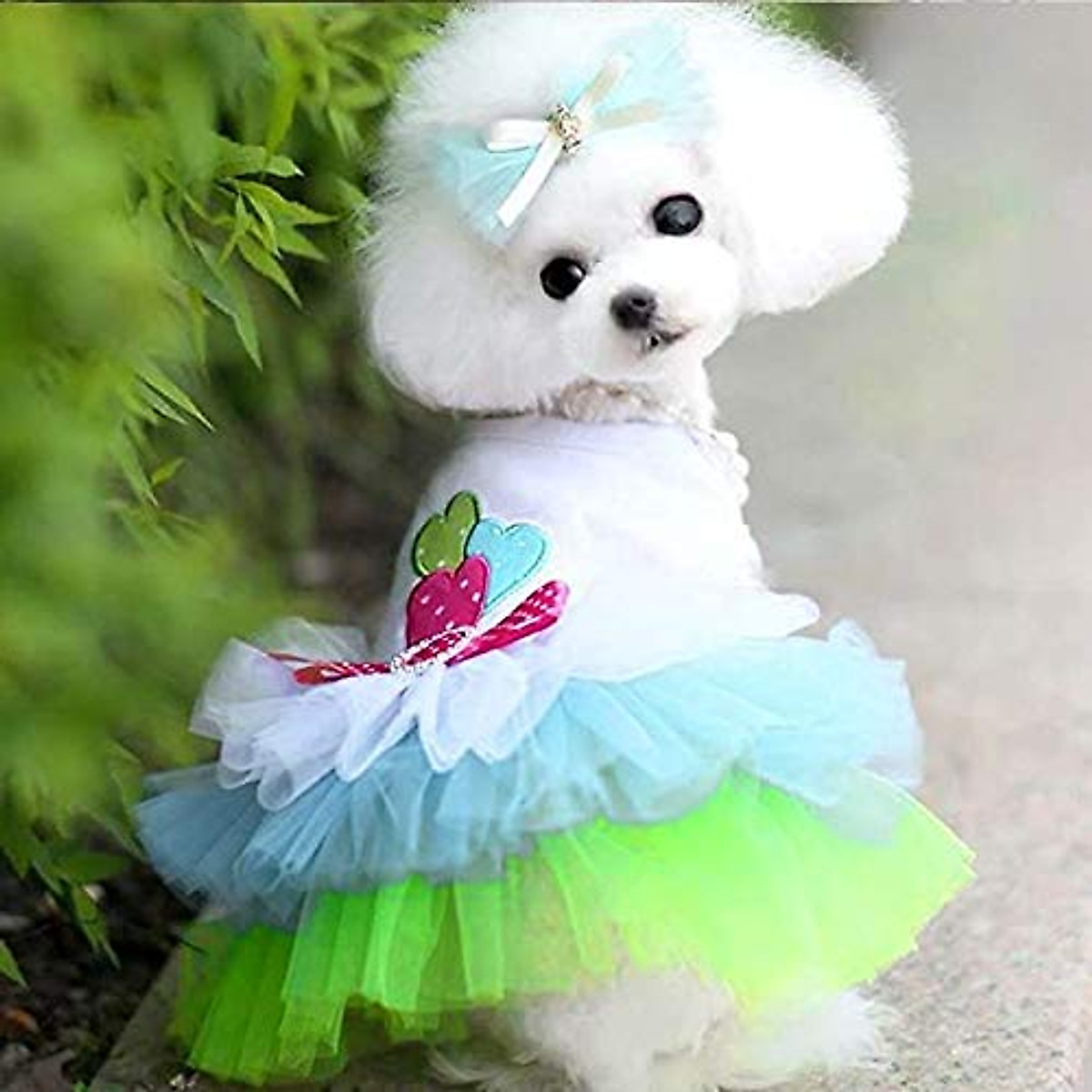 Dog Dress for Medium Dog Girl Apparel Clothes Cute Puppy Pet Costumes Cat Lace Tutu Mesh Dresses 2 Pcs M