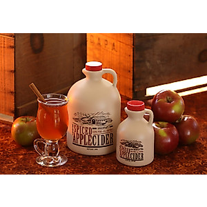 Mountain Cider Spiced Apple Cider Concentrate | Gluten Free, No Preservatives, No Added Sugar | 16 fl. oz (16 servings)