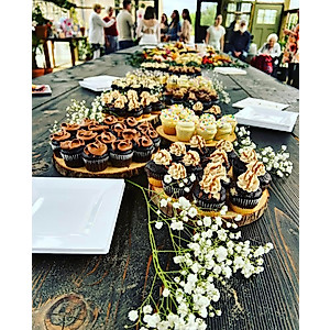 Rustic Wood Slices Set of (14) 8-9 inch Wood Slices! Wood Slices for centerpieces, Natural Wood Slices, Large Wood Slices (14)