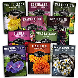 10 Flower Collection - Four O’Clock, Chamomile, Shasta Daisy, Echinacea Coneflower, Marigold, Morning Glory, Nasturtium, Snapdragon, Sunflower Zinnia - Non-GMO Heirloom Survival Garden Seeds
