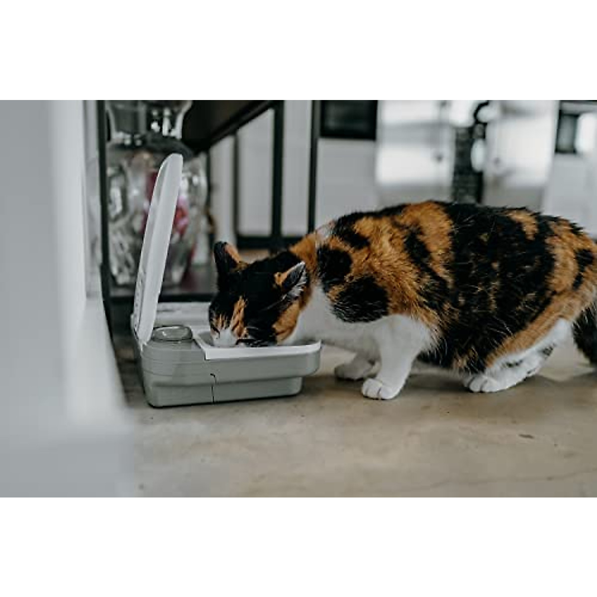 Cat Mate C200 2 Meal Automatic Pet Feeder for Cats and Small Dogs with Ice Pack